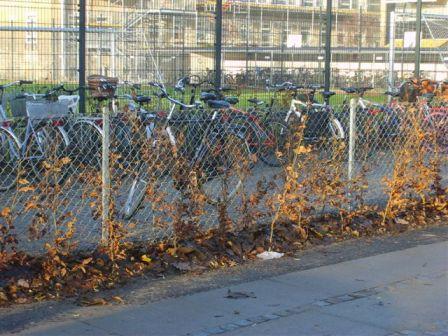 Trådhegn,Flethegn,Klasisk Trådhegn,Klasisk Flethegn,Havehegn,MONTERING ...