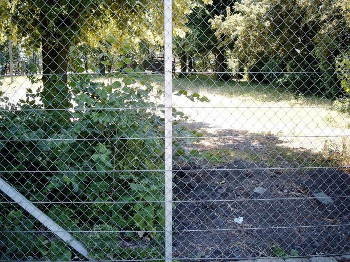 Flethegn,HEGN,Boldhegn,Boldbanehegn,Idrætshegn,Tennisbane-Hegn ...